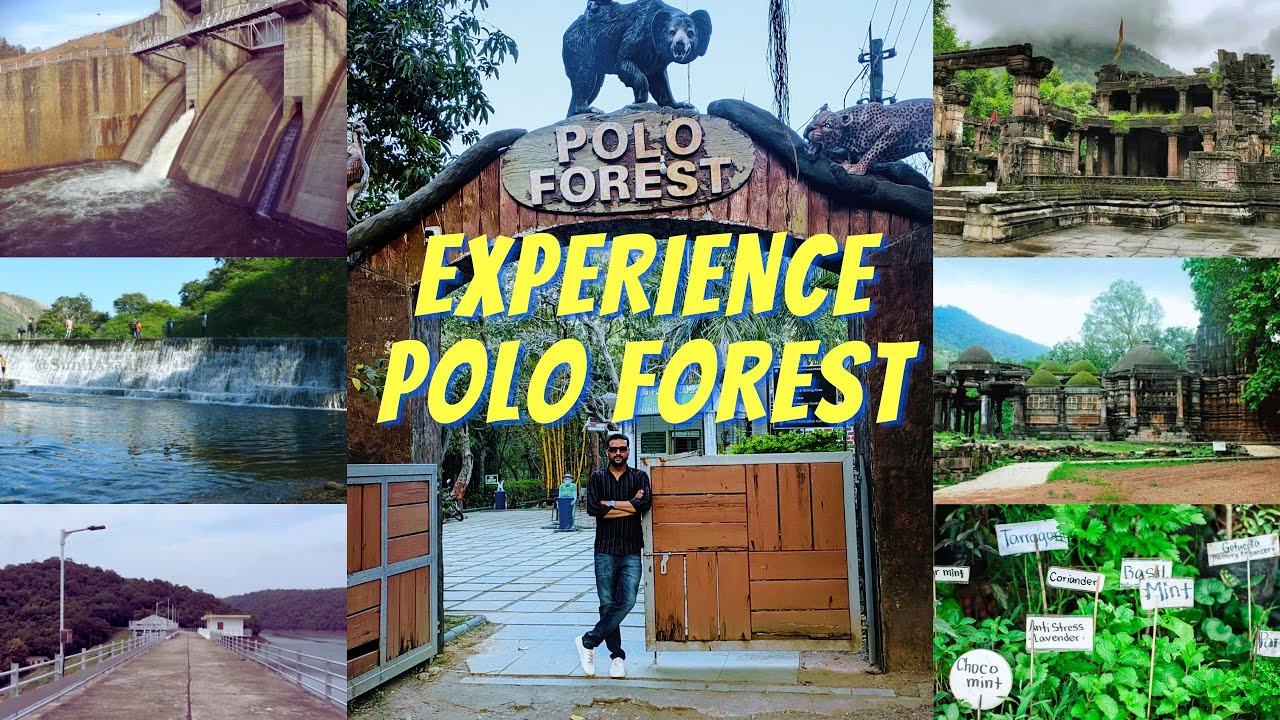 Experience Polo Forest I Places to Visit in Polo Forest I Gujarat I ...