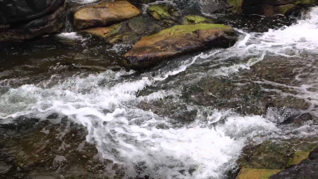 La Laja, Tancoco, Veracruz; México - YouTube