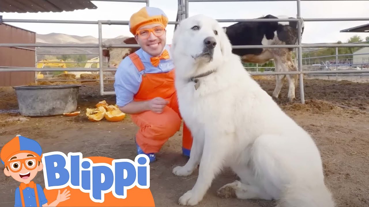 B I N G O | Blippi | Kids Show | Toddler Learning Cartoons | Animal ...