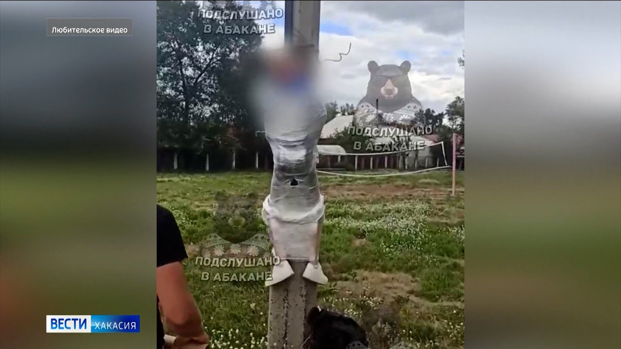 В Абакане подростки привязали школьника к столбу и сняли на видео Youtube