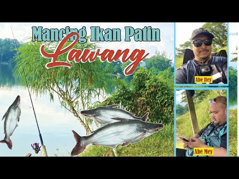 Mancing di Dem Serendah | Tasik Kiambang Ep05 - YouTube