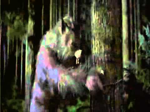 Werewolf's attack.mp4