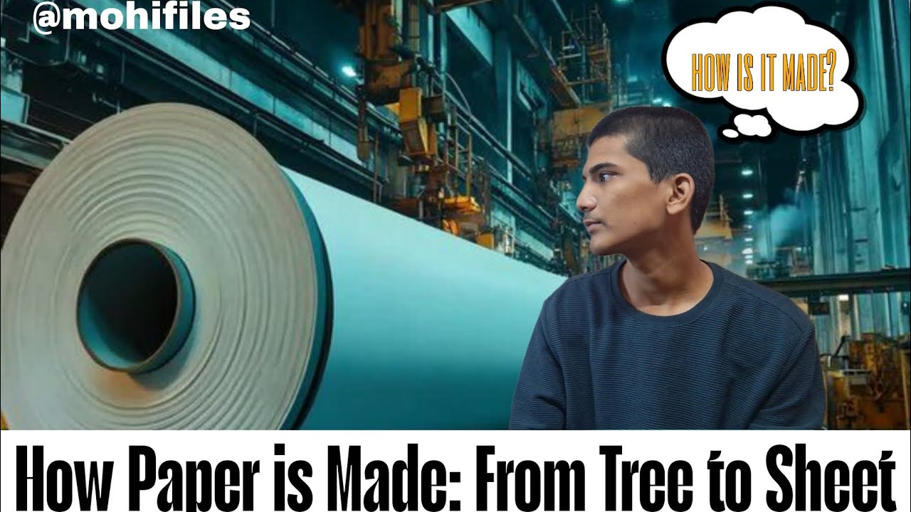 How Paper is Made: From Tree to Sheet.mp4 #mohifiles - YouTube