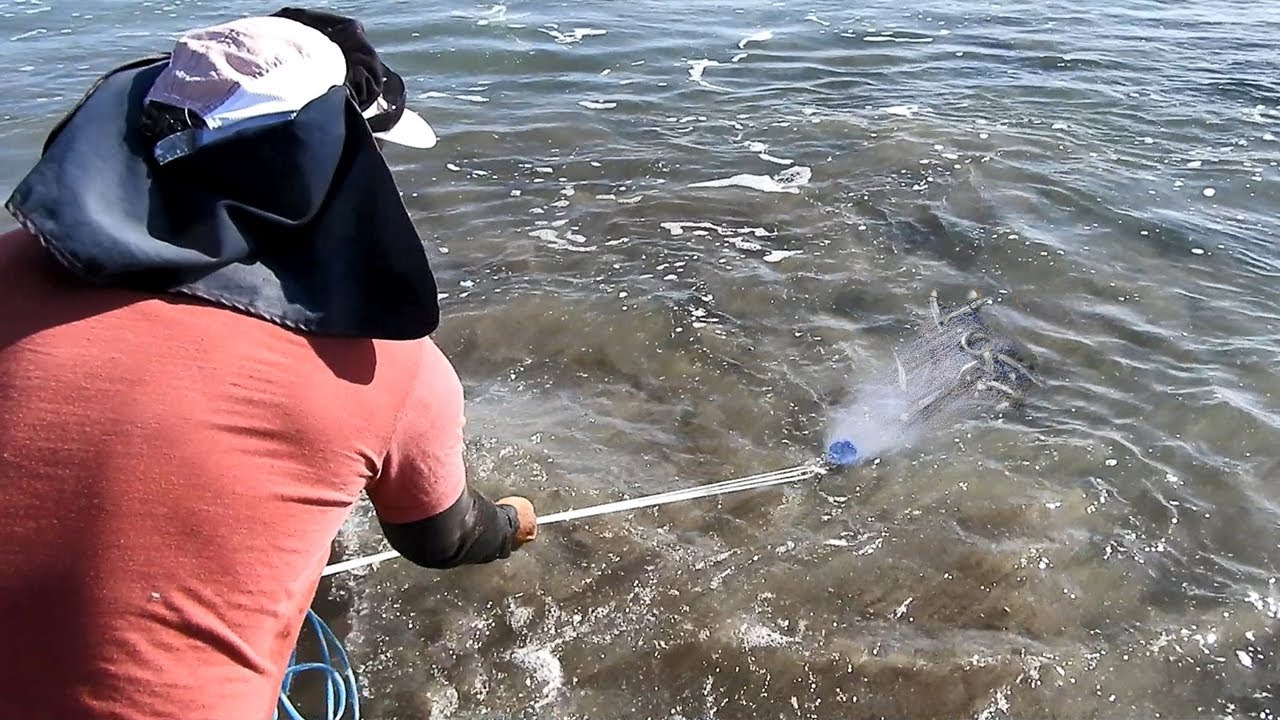 Mira las Técnicas que usa este Gran Pescador para Pescar con Atarraya ...