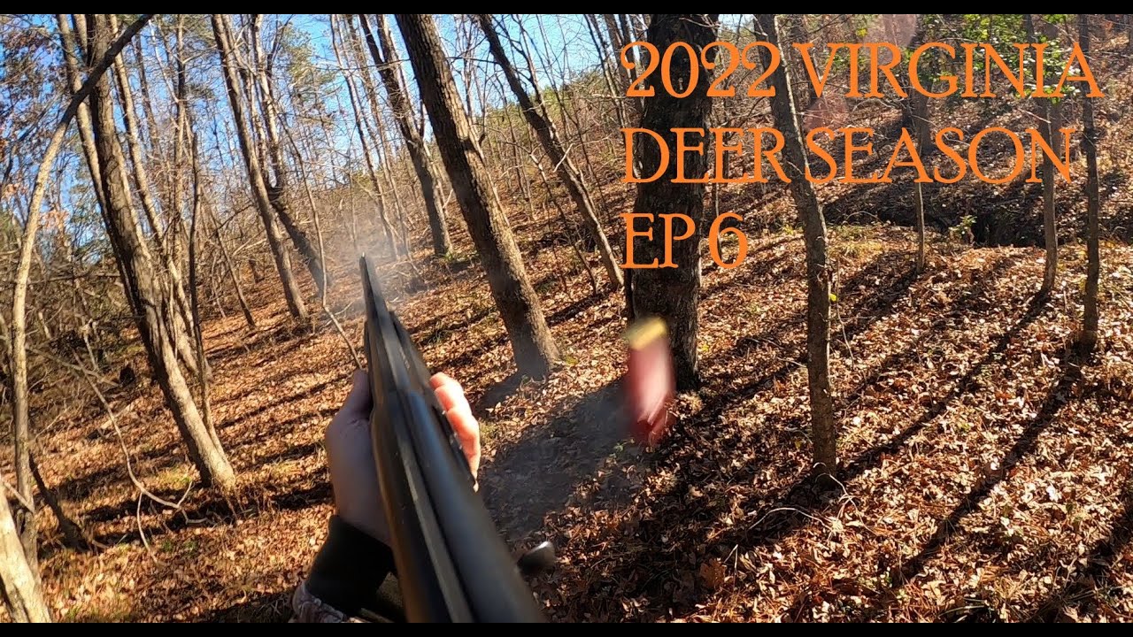 2022 VIRGINIA DEER SEASON-EP 6-VIRGINIA DOG HUNTING WITH THE HUNT CLUB ...