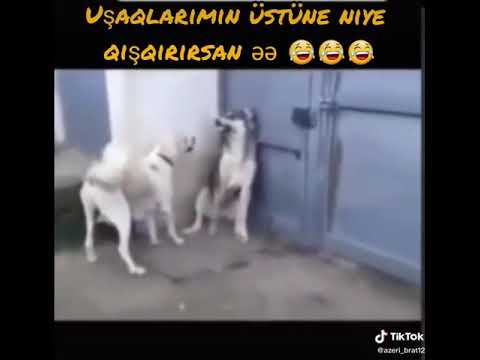 kisi usaga eseblesende!!