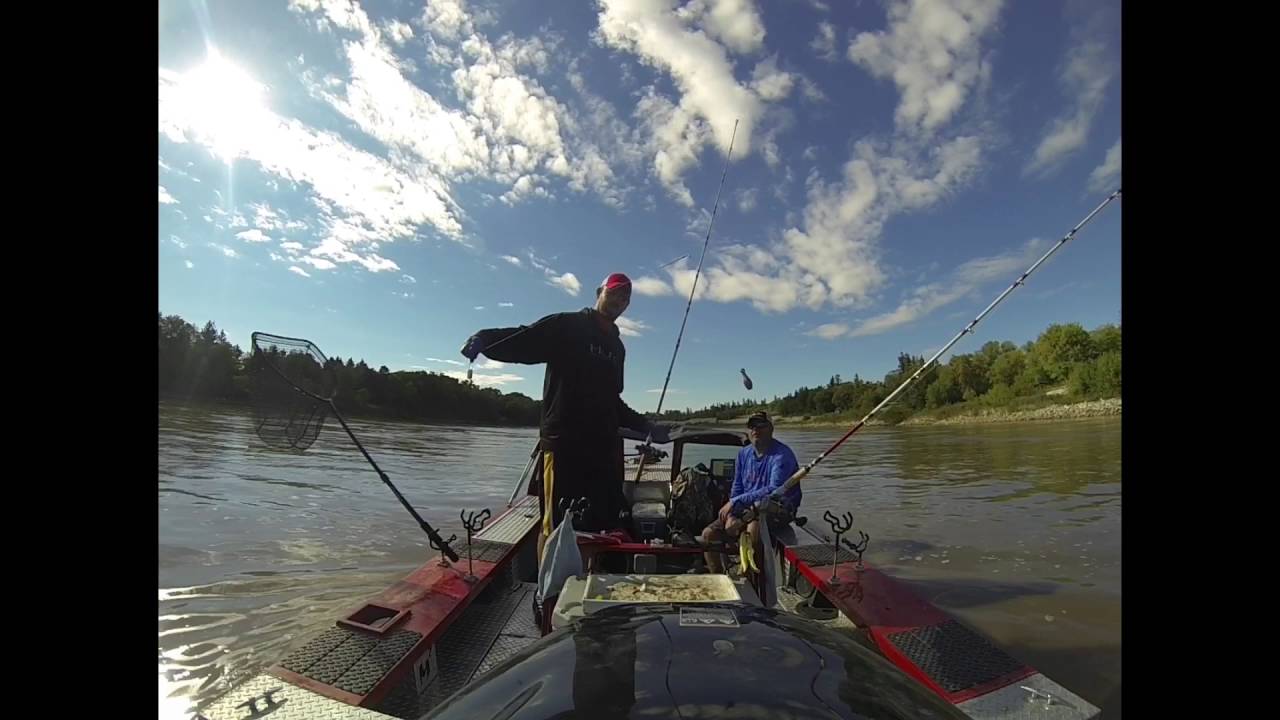 Monster Channel Catfish Red River Canada Part 2 - YouTube