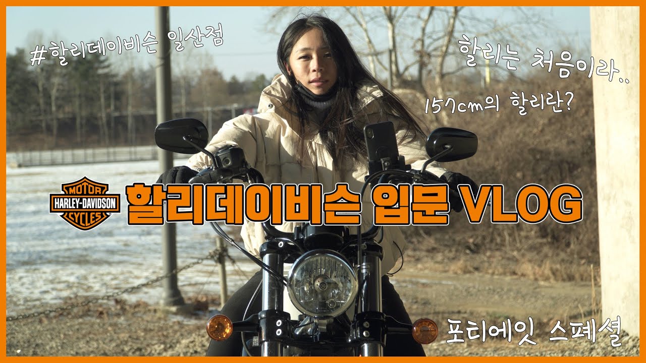 [ 엘리의 할리입문기 ] 제가 타볼 할리는요 ㅇㅇㅇㅇ입니다! l Rider Ellie - YouTube