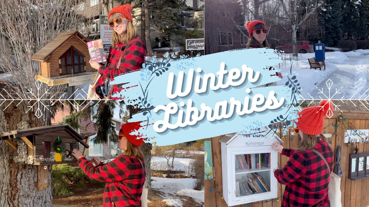 ️ Winter Little Free Library Adventure ️ - YouTube