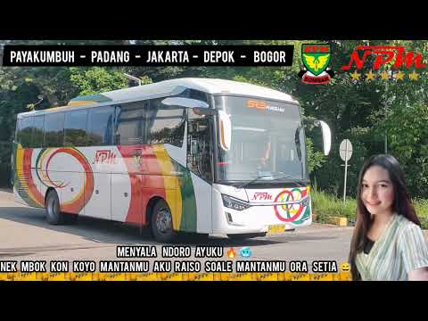 TAMPIL BEDA‼️BUS NPM "PUTRI MELAYU" V51 SR3 PANORAMA LIMITED EDITION,LINE BOGOR-PADANG - YouTube