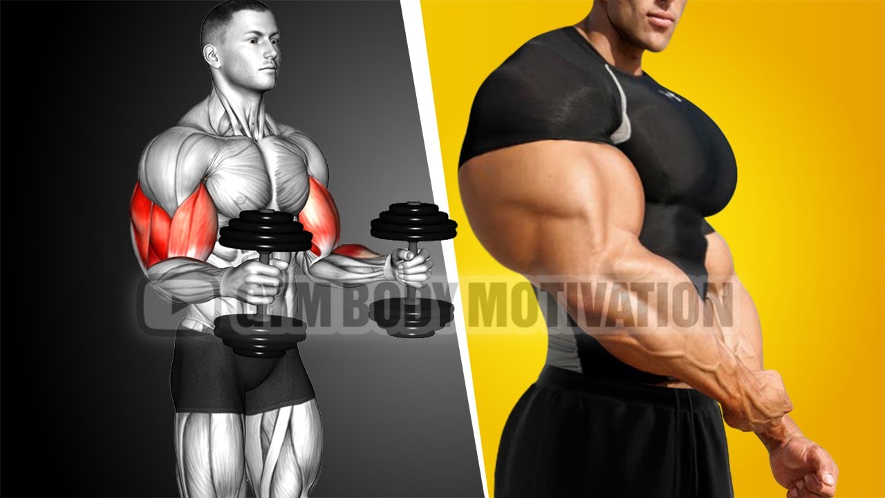 Get THICK Arms - 6 Best Exercises You’ll Ever See - YouTube