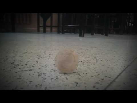 Mesnevi'den ders aldım ( ver. 2)