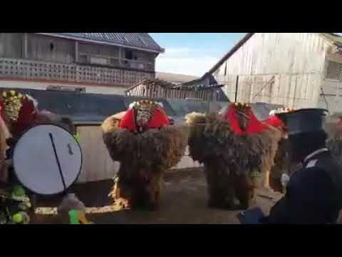 Ursi de la corni 2018