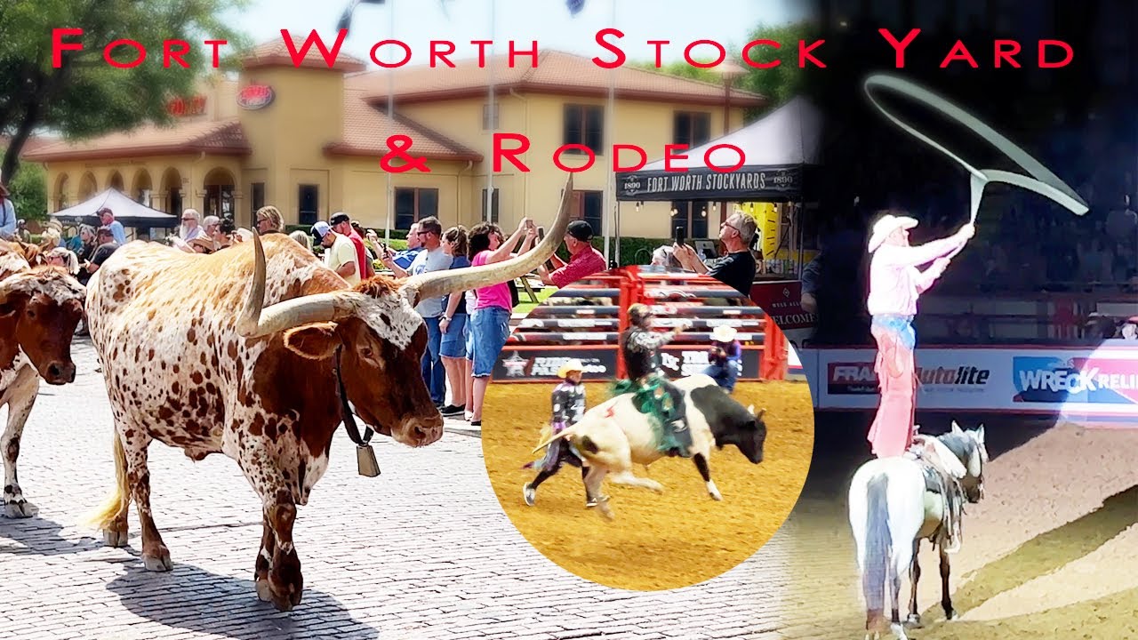 Fort worth Stockyards and Rodeo - YouTube