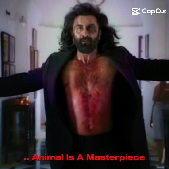 Despite the criticism, 'animal' is a masterclass - YouTube