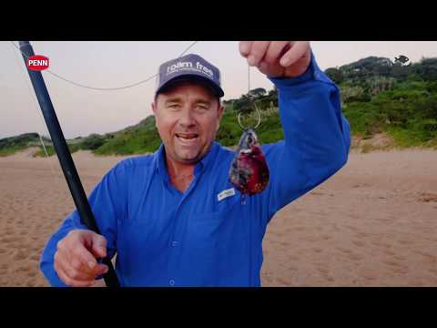 In Pursuit of a Giant (tips for catching giant sandshark)