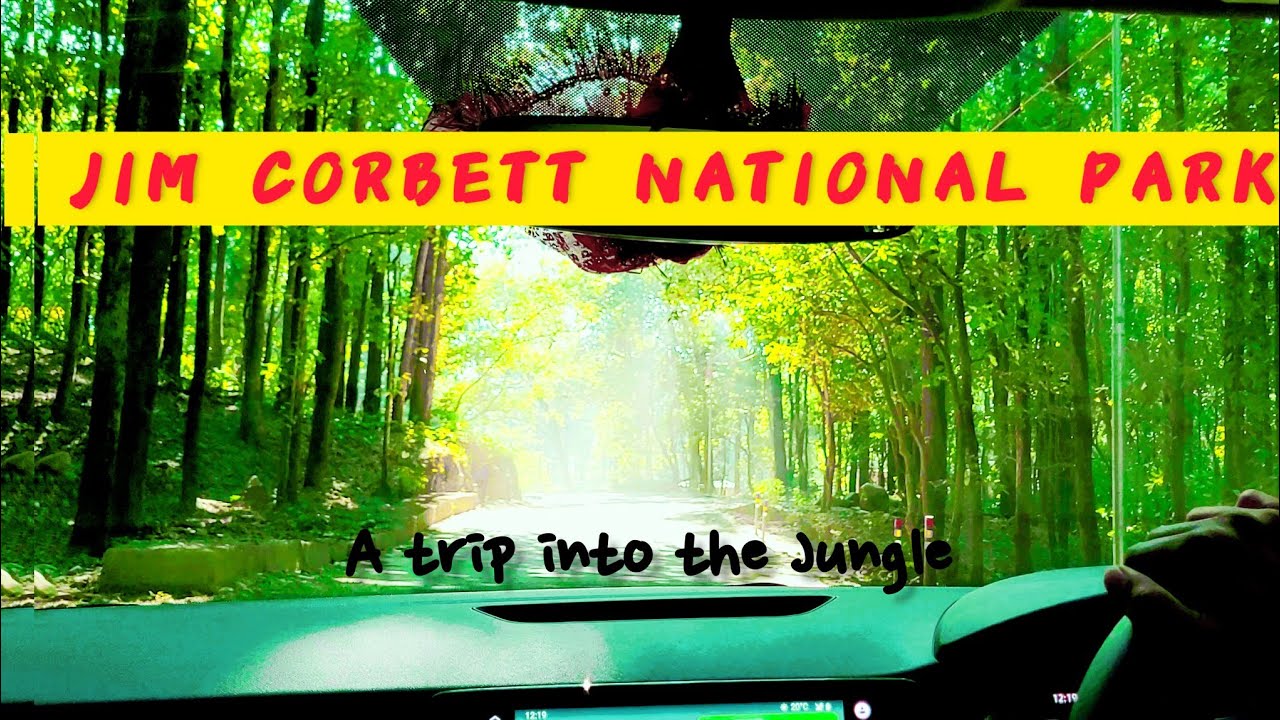 Jim Corbett National Park|Jim Corbett Tour|Jim Corbett Trip|Jim Corbett ...