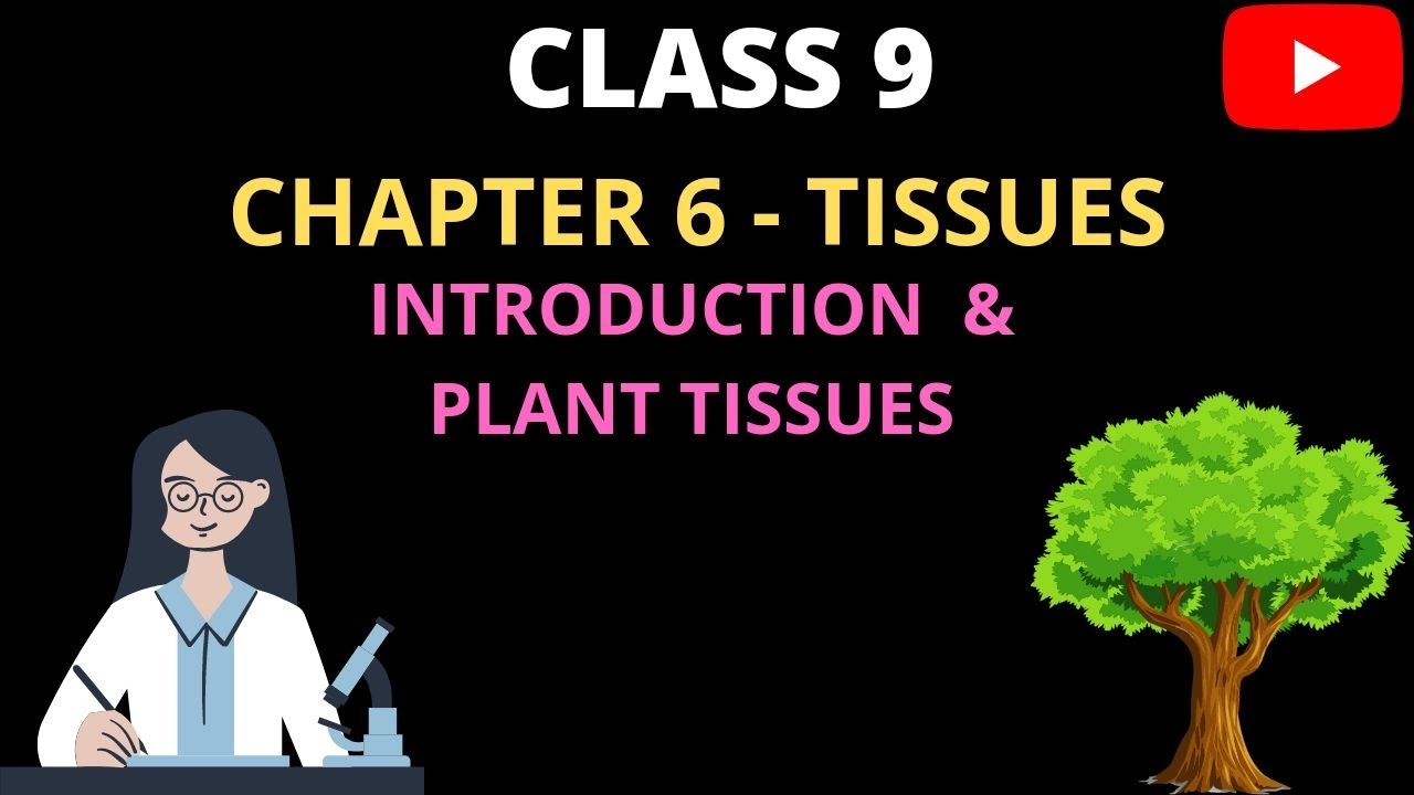 Tissue | class 9 | meristematic tissues & permanent tissues of plant ...
