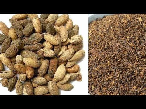 Preparation of neem seed kernal extract. Importance of NSKE. Complete ...