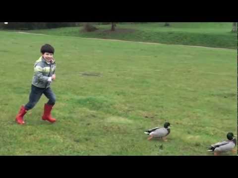 Puddle Jumping Ducks and Wellies by Bodiam Castle - YouTube