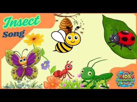 Insect Song (Part1) | Butterfly Ladybug Bee Grasshopper Ant | Kids ...
