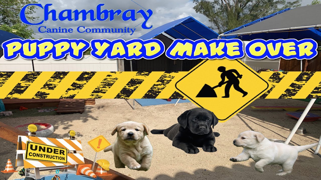 DIY PUPPY YARD MAKEOVER - YouTube