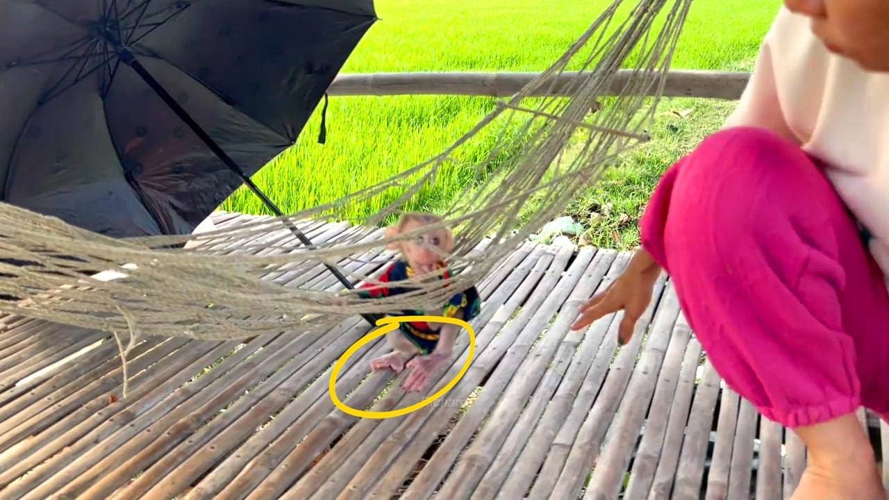 Oh noooo!! P..r Richard so Sadd after wake up without mom - YouTube