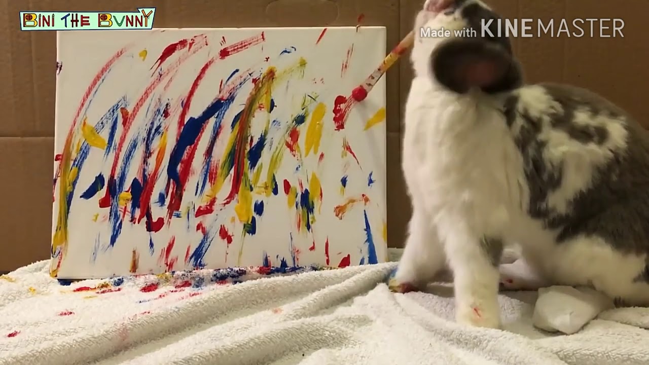 Conejo pro astuto (enzo y Mateo mineros 2) - YouTube