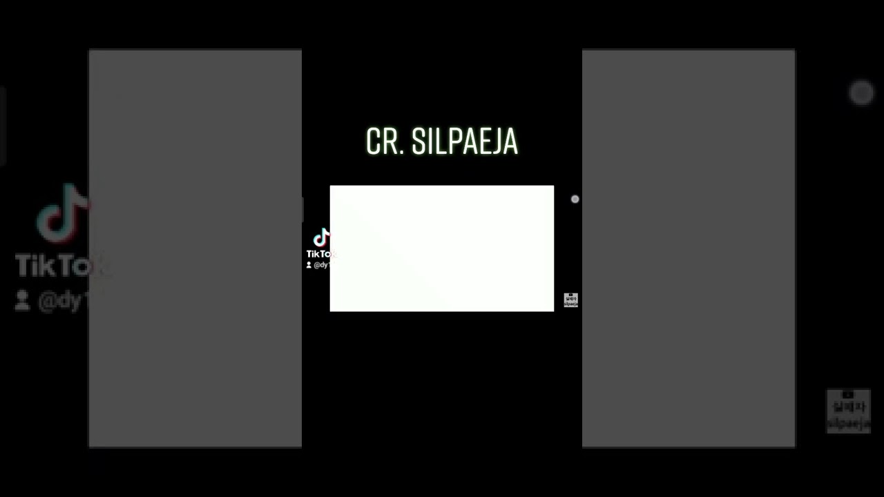 Minecraft animations cr.silpaeja - YouTube