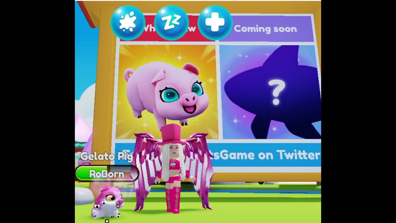 Ropets Give Away Winner Collects Robux, Evolved Pet, & Toy Codes - YouTube