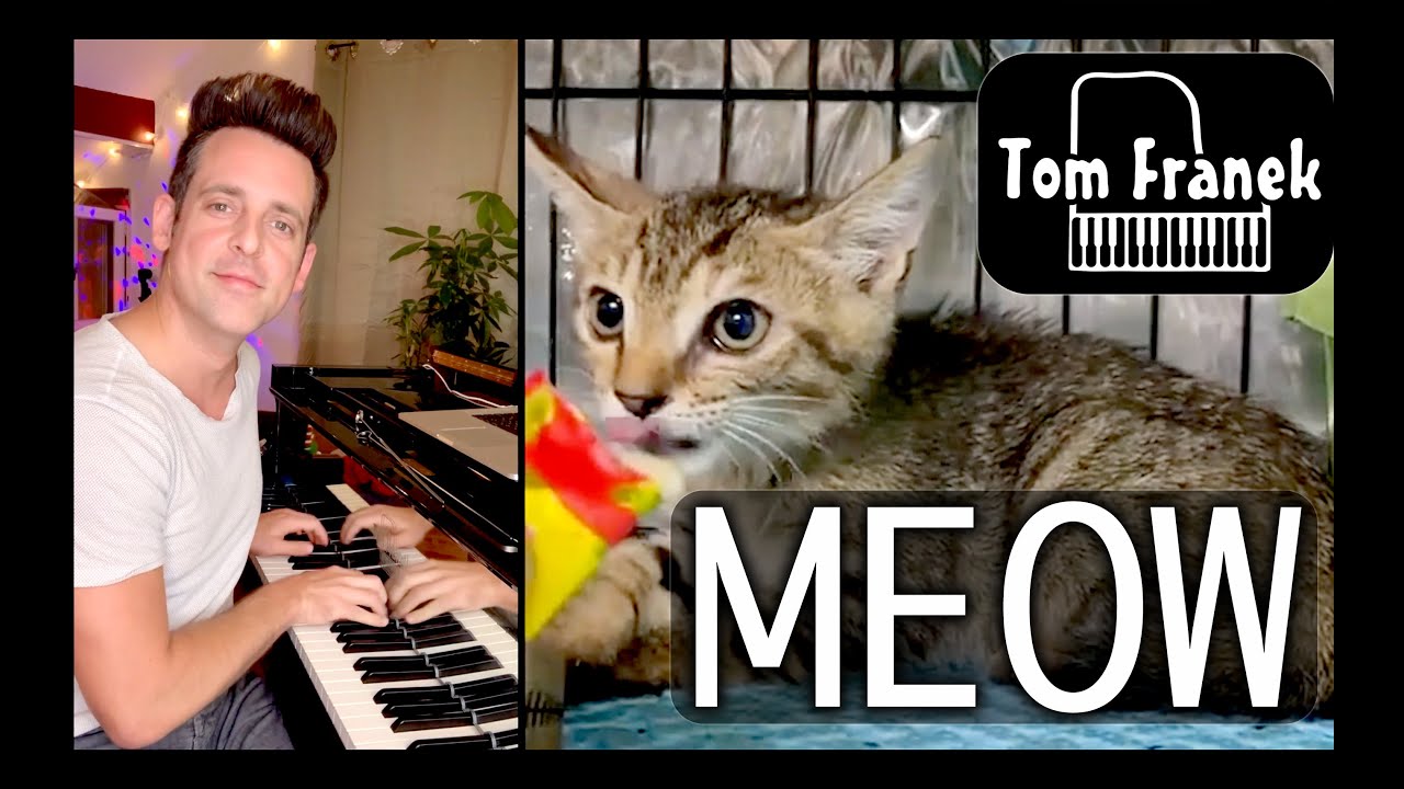 MEOW x Tom Franek [Original Song] - YouTube