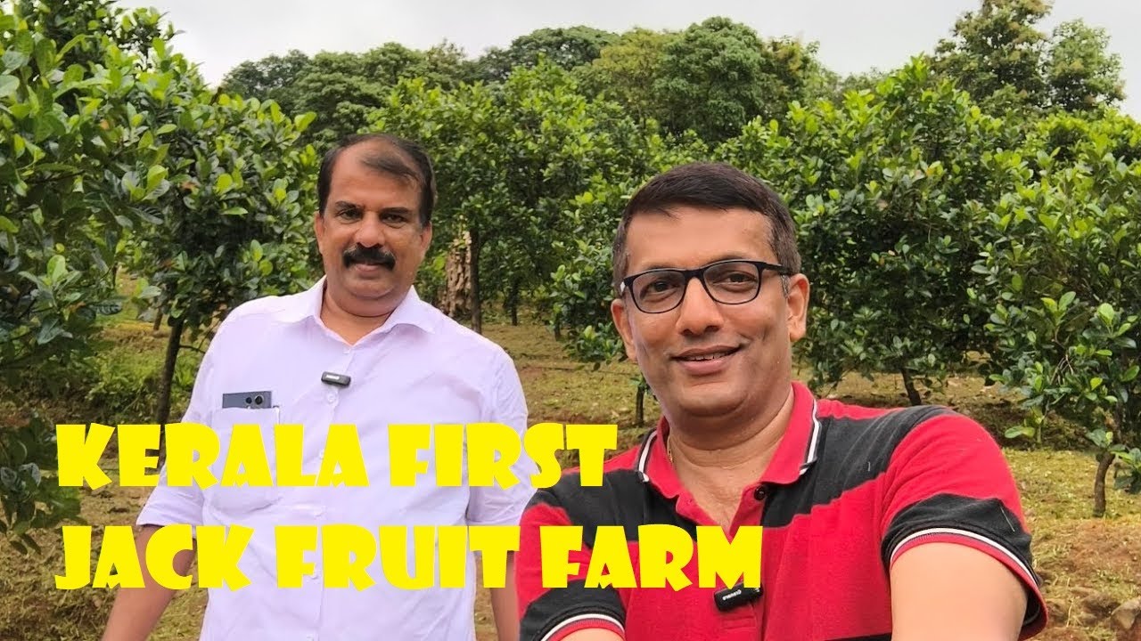 KERALA FIRST JACK FRUIT FARM/UNDERGROUND WATER BALANCING/TRENCHING METHOD/RAIN WATER HARVESTING ...