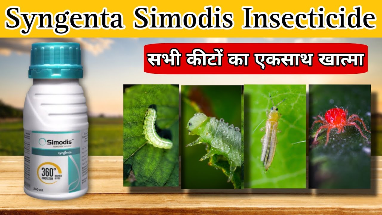Syngenta Simodis |Simodis insecticide | Isocycloseram insecticide ...