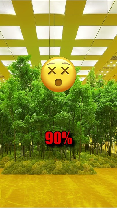 🌳ЧТО ЕСЛИ ДЕРЕВО ВЫРАСТЕТ В ЗАКУЛИСЬЕ ? - YouTube
