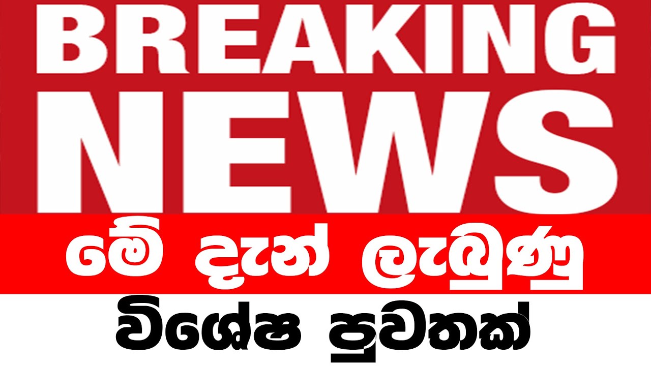News Alert Special | Here is special news just received - YouTube