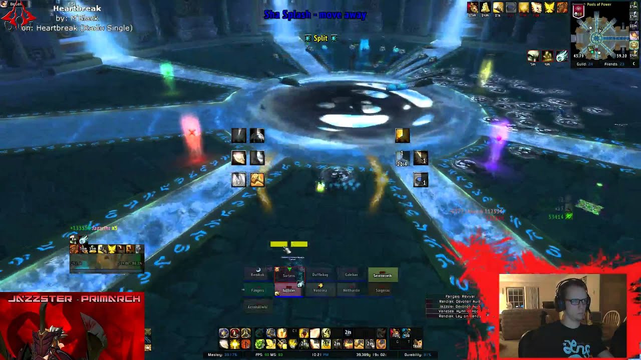 Primarch vs. Heroic Immerseus 10M Holy Paladin PoV - YouTube