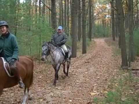 Riding in the rain . . . with glasses - EQUINE Ink