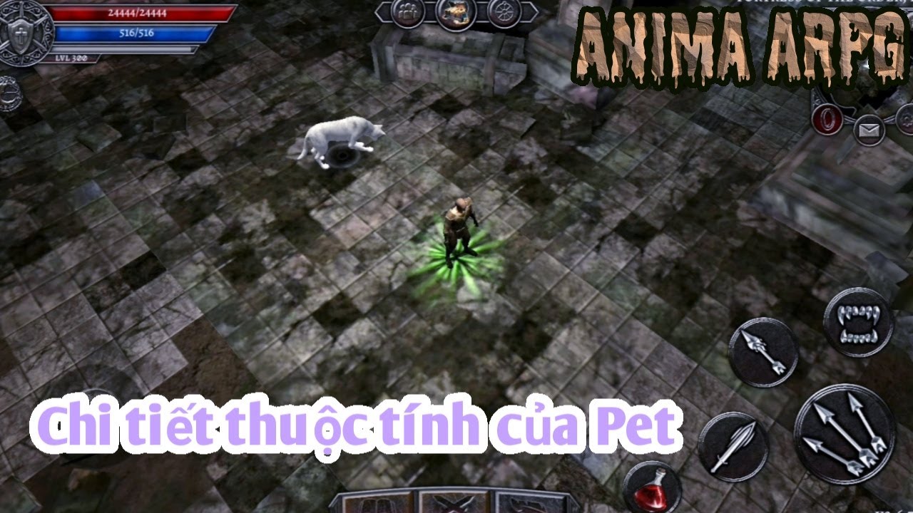Chi tiết thuộc tính của những con PET trong Anima - YouTube