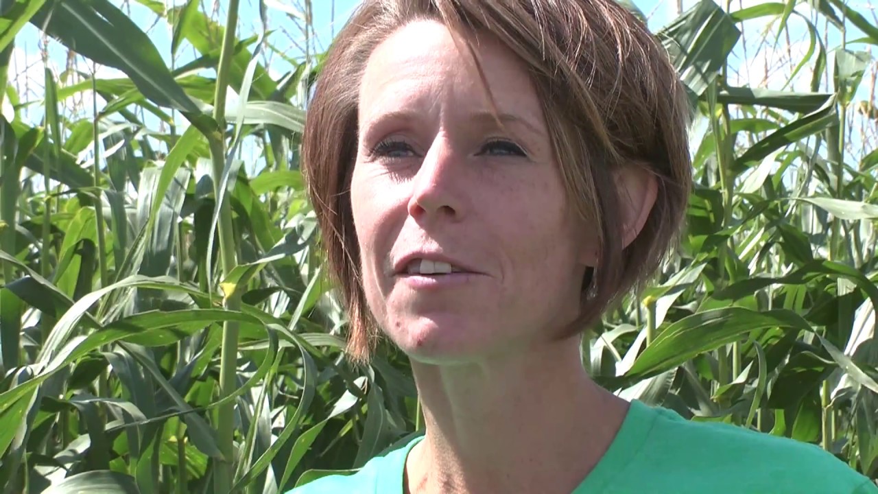 Katie Heger shares why she farms - YouTube