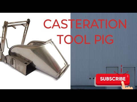 HOW TO PIG CASTERATION TOOL USING VIDEO? 9745979898. pig farm equipment ...