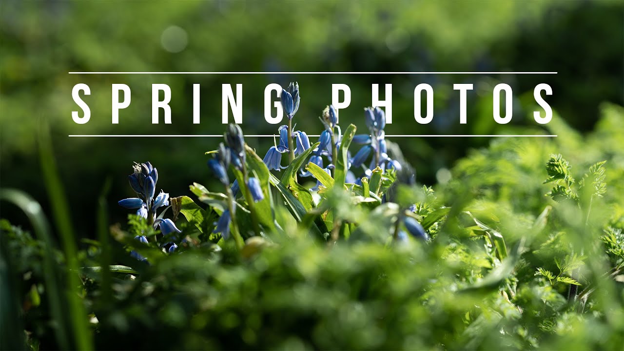 Take Stunning Spring Photos | Tutorial Tuesday - YouTube