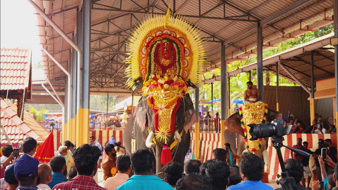 anayadi pooram 2023 - YouTube