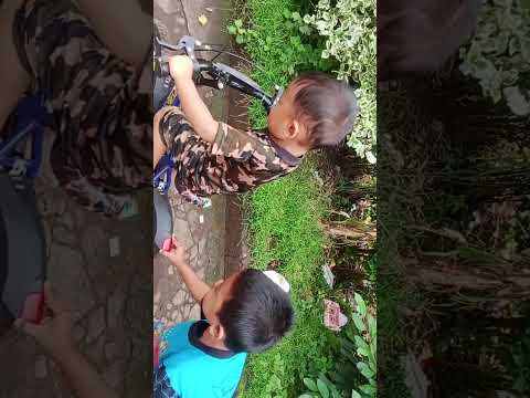 Tahun Baru di Rumah Mamak muda