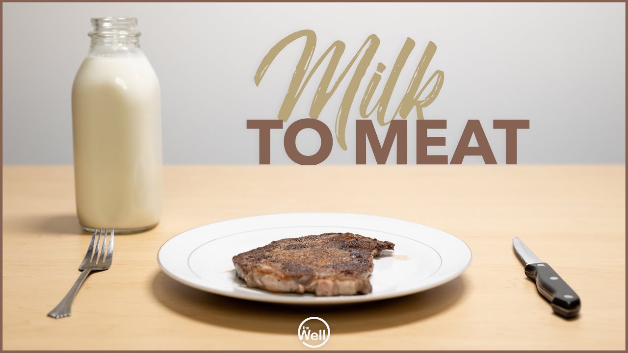 Milk To Meat | Week 3 | 02.20.19 - YouTube
