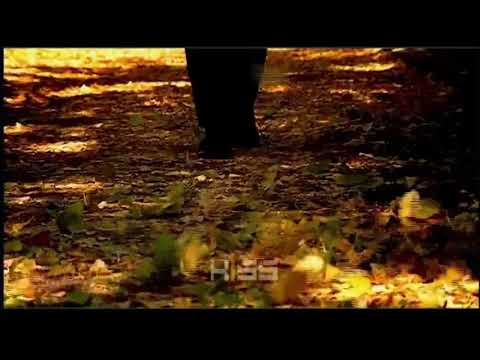 Kore kılıp bu şarkı bizim olsunn