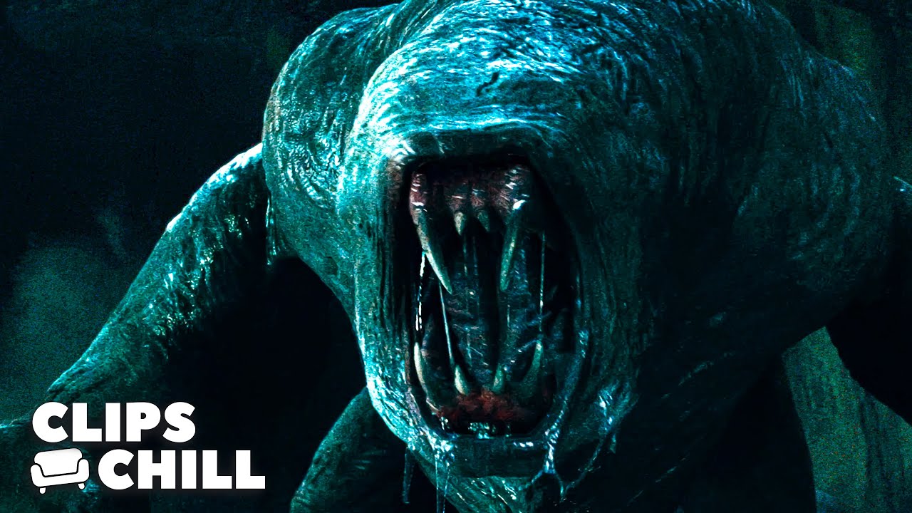 Uncover Dark Secrets In A Vampire Hive | Priest (Paul Bettany) - YouTube