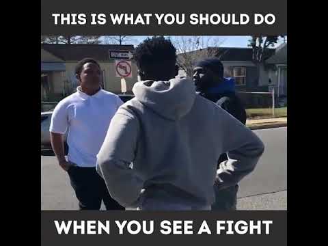 How to stop a fight - YouTube