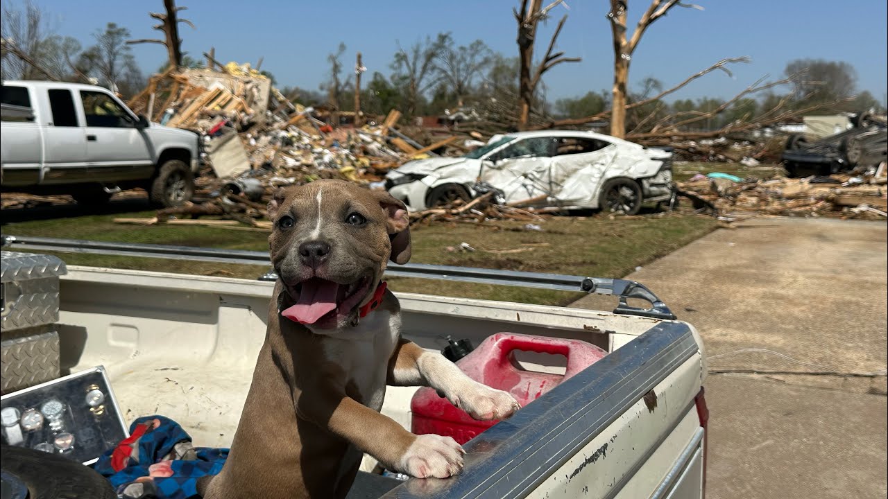 After Devastating Tornadoes, Mississippi Stands Strong - YouTube