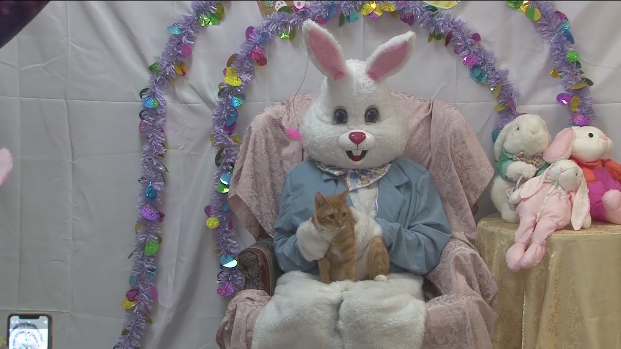The Real Easter Bunny Youtube