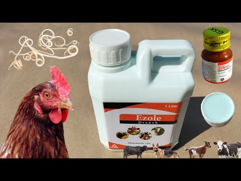 Deworming Backyard Poultry | Control and Treatment of Worms in Chickens ...